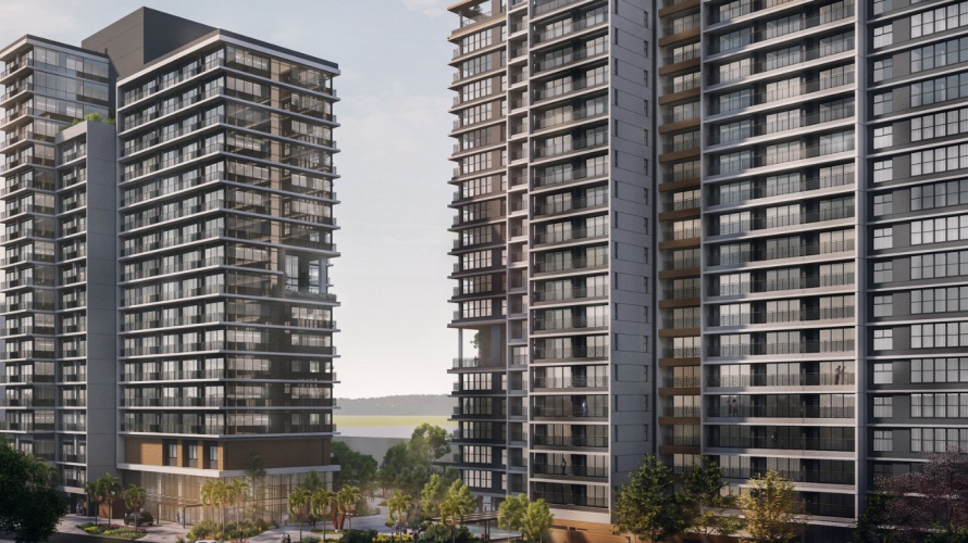 Blog TARRAF | TARRAF